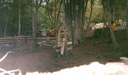 Clubflat Do Paintball - Helicopter